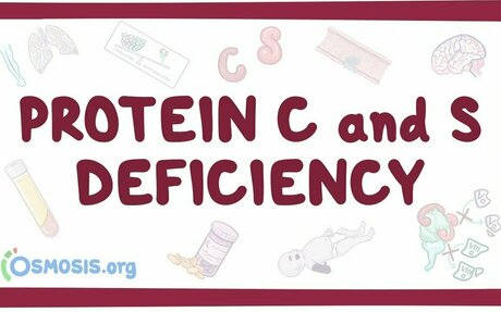 What is protein c deficiency? | elink